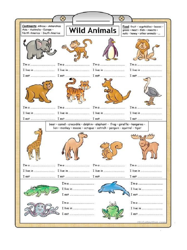 Describe Animal | PDF