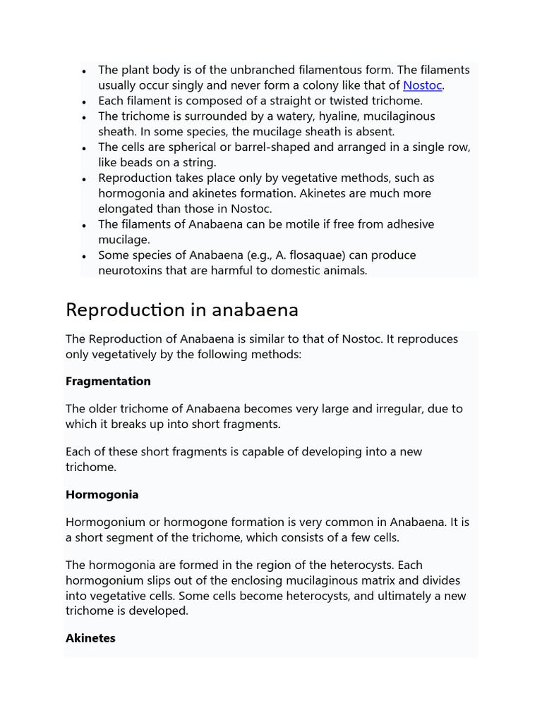 Thallus Structure and Reproduction in Anabaena | PDF