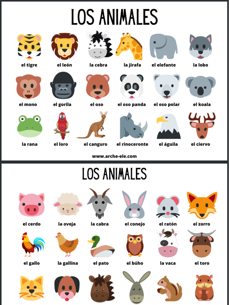 Vocabulario Animal | PDF