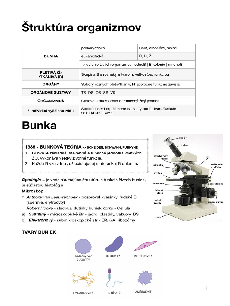 Struktura Organicka Bunka | PDF