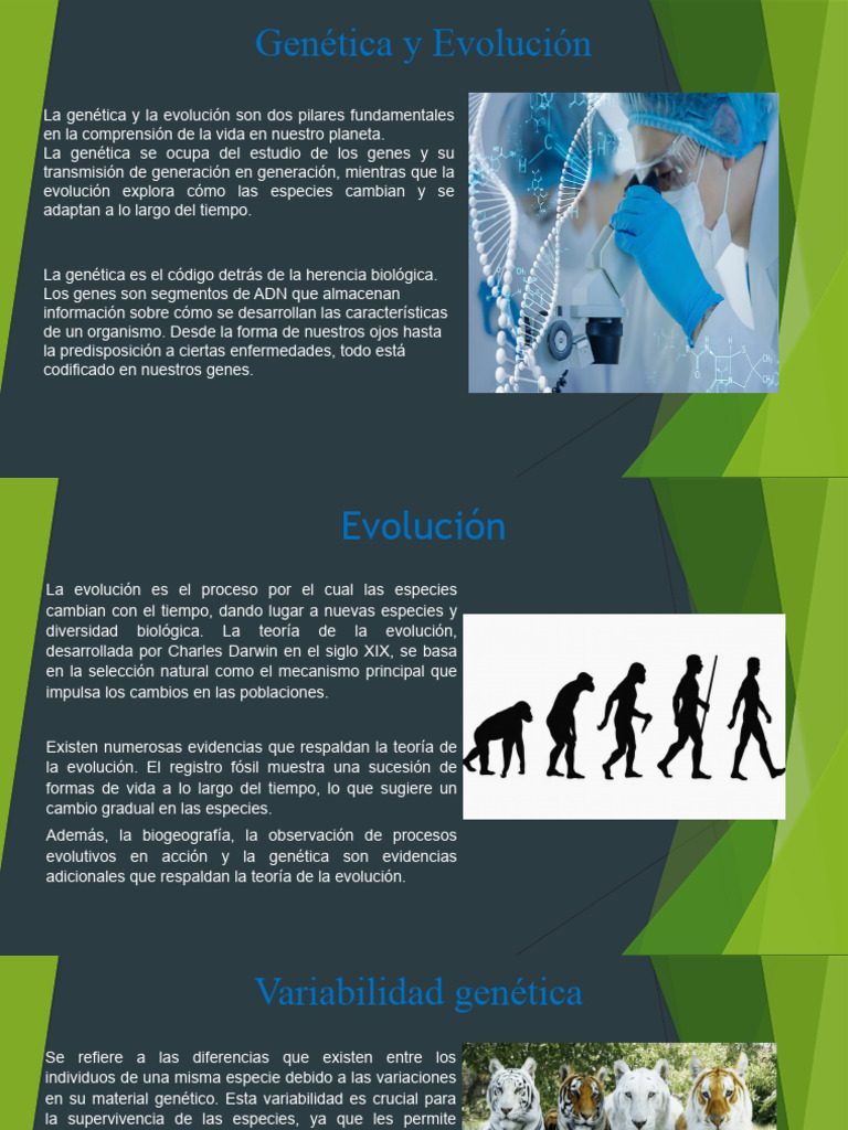 Genetica y Evolucion | PDF