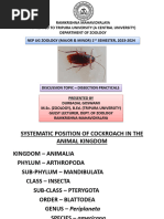Cockroach Dissection | PDF | Wellness
