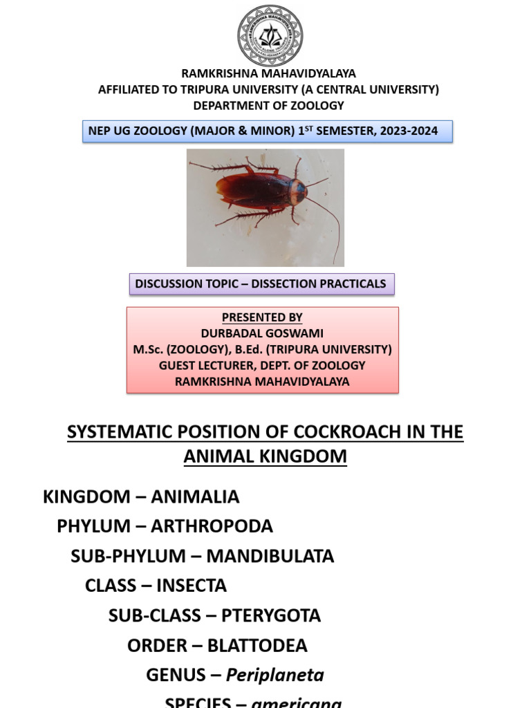 Dissections - Zoology Ug Nep 1st Sem (Major & Minor), Rkm. | PDF | Mouth | Insects