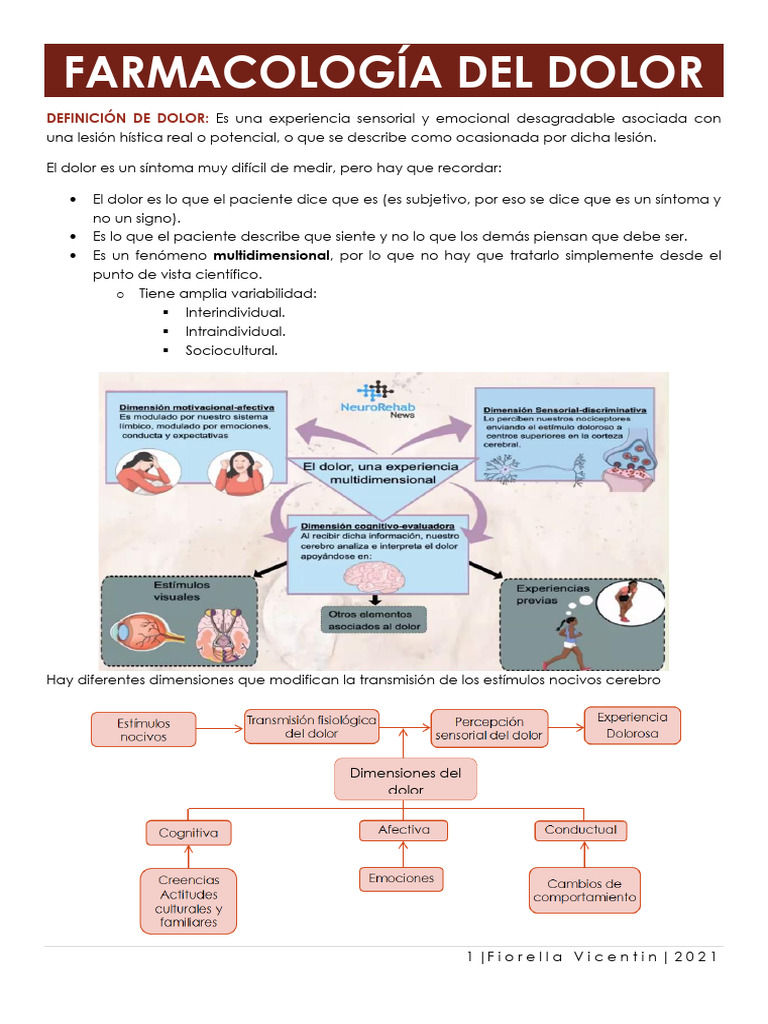 4.farmacología Del Dolor | PDF