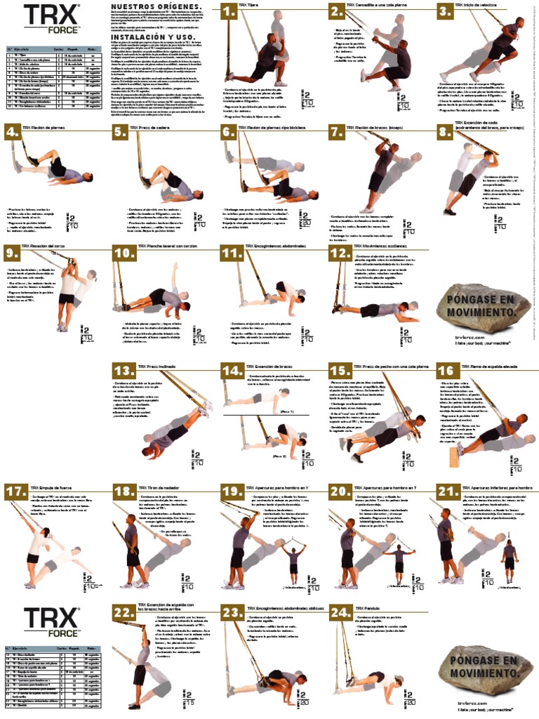 TRX Grafico | Descargar gratis PDF | Codo | Rodilla