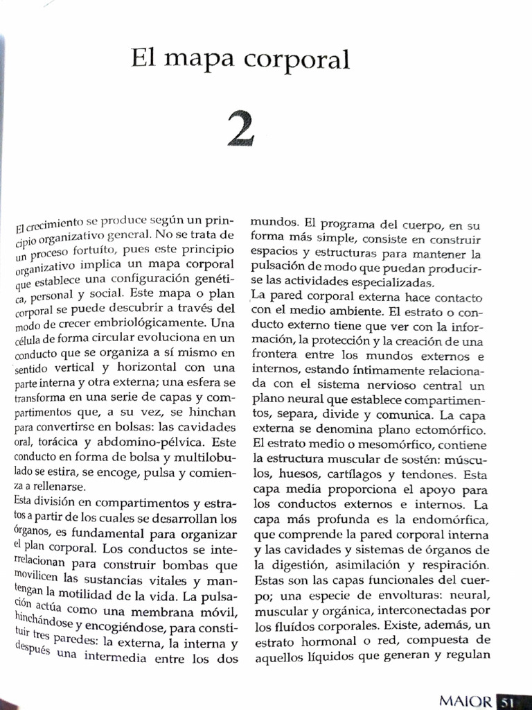 Mapa Corporal: Estructura y Función | PDF | Sistema nervioso ...