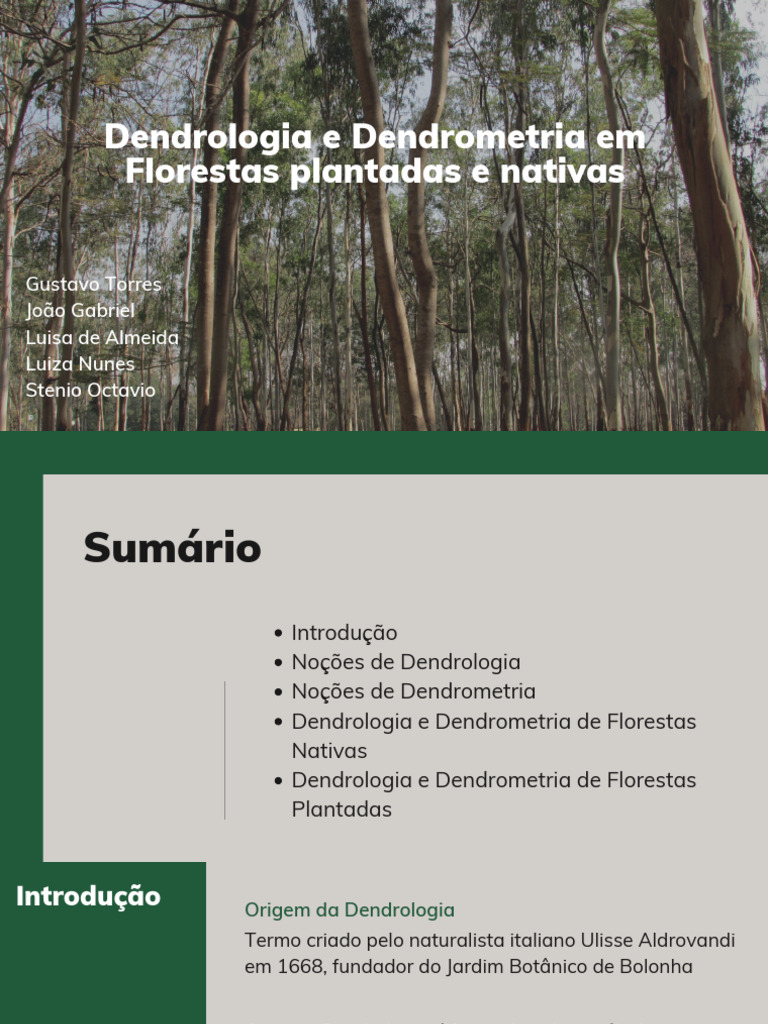Dendrologia e Dendrometria | PDF | Árvores | Plantas