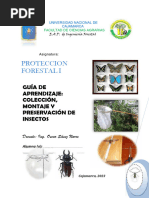 Guía de Colecta y Preservación de Insectos | PDF | Insectos | Taxonomía ...