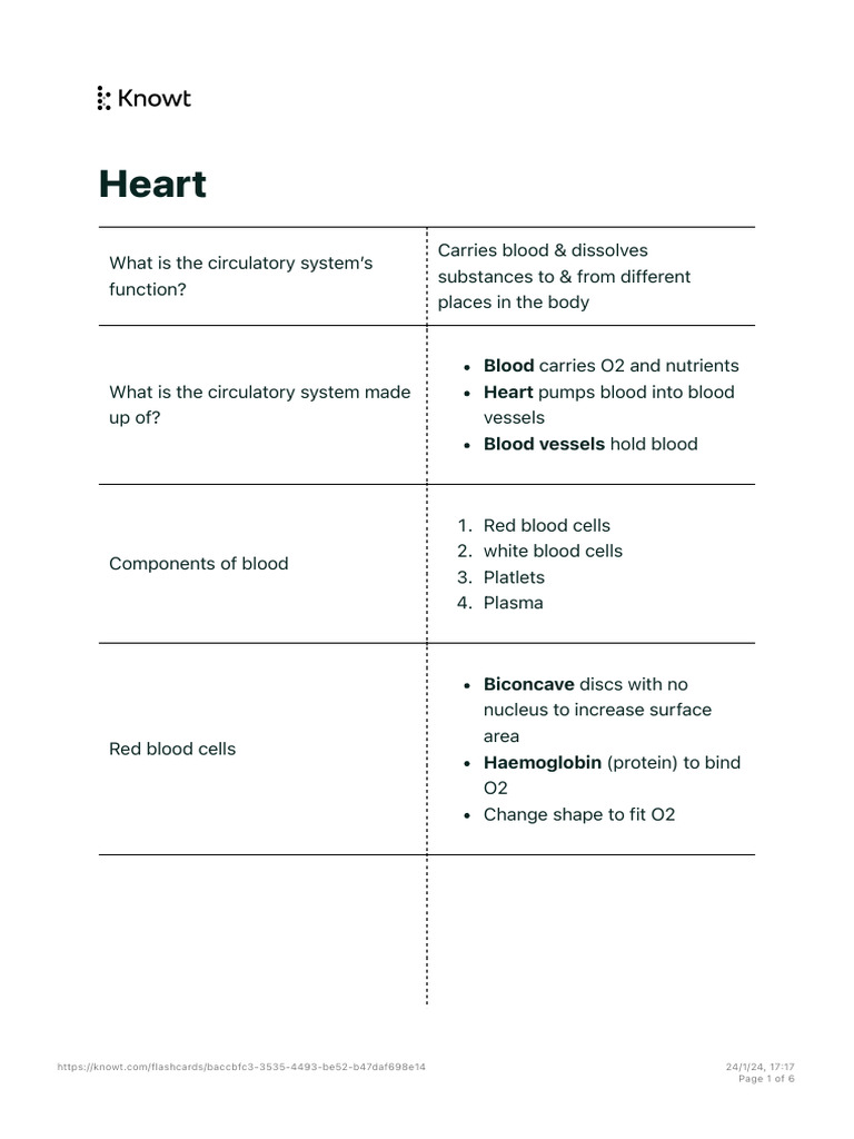 Heart Flashcards - Knowt | PDF | Heart | Artery