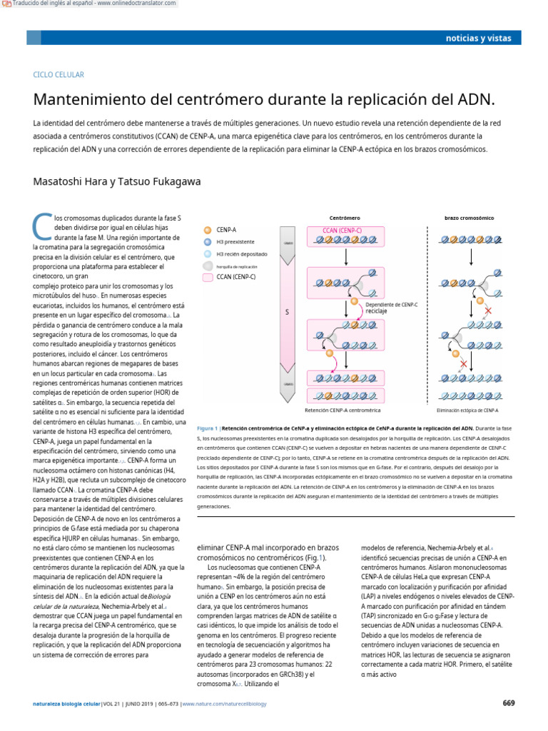 6 Mantenimiento Del Centrómero en La Replicación Del ADN | Descargar gratis PDF | Cromosoma ...