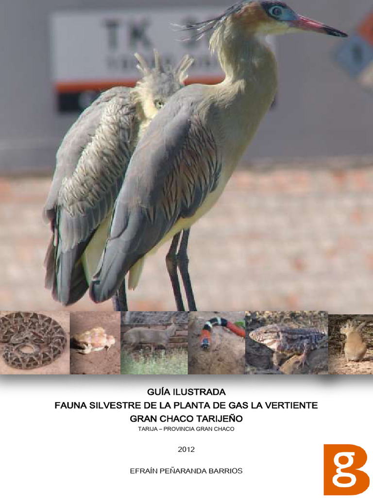 Fauna Silvestre en Gas La Vertiente | PDF | Especie en peligro | Extinción