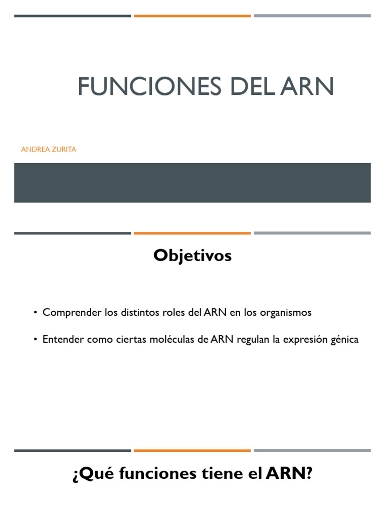 Funciones Del ARN | PDF | Rna | Micro Rna
