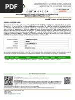 Formato V1J para Padrón Vehicular Jalisco | PDF