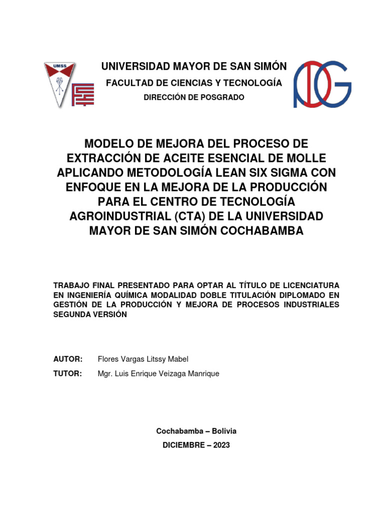 Trabajo Final Litssy Mabel Flores Vargas | PDF | Lean Manufacturing ...