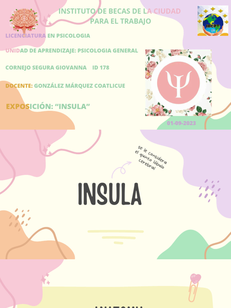 INSULA | PDF