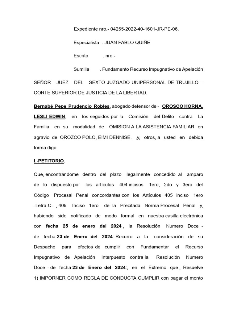 Orzco Fundamenta Apelacion | PDF | Apelación | Sentencia (ley)