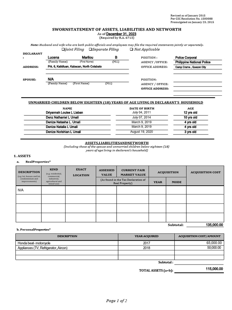 Saln Format - New 2023 Malou | PDF | Net Worth | Business Economics