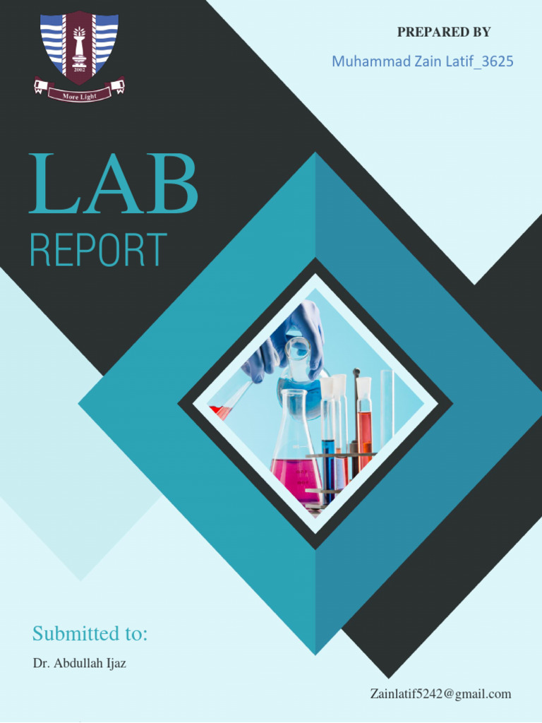 Lab Report Zain | PDF