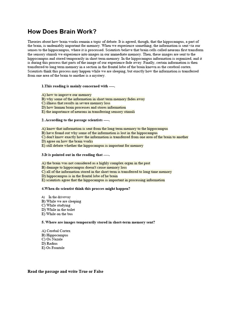 How Does Brain Work . | PDF | Memory | Brain