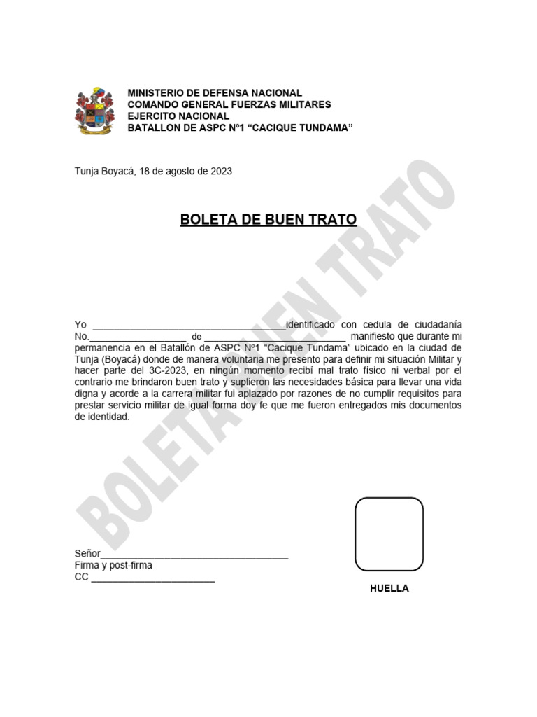 BOLETA DE BUEN TRATO 2023 | PDF