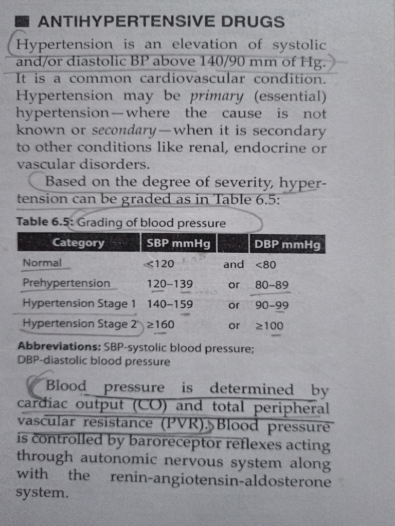 Pharmacology Notes | PDF | Hypertension | Blood Pressure