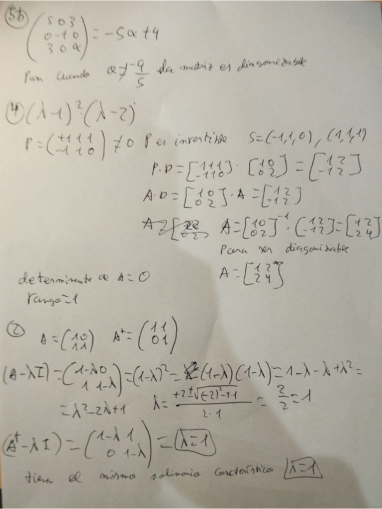 Ejercicios Diagonalizacion de Matrices | PDF