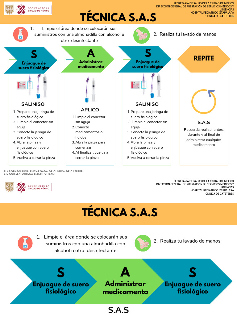 Tecnica Sas | PDF | Cuidado de la salud | Salud pública