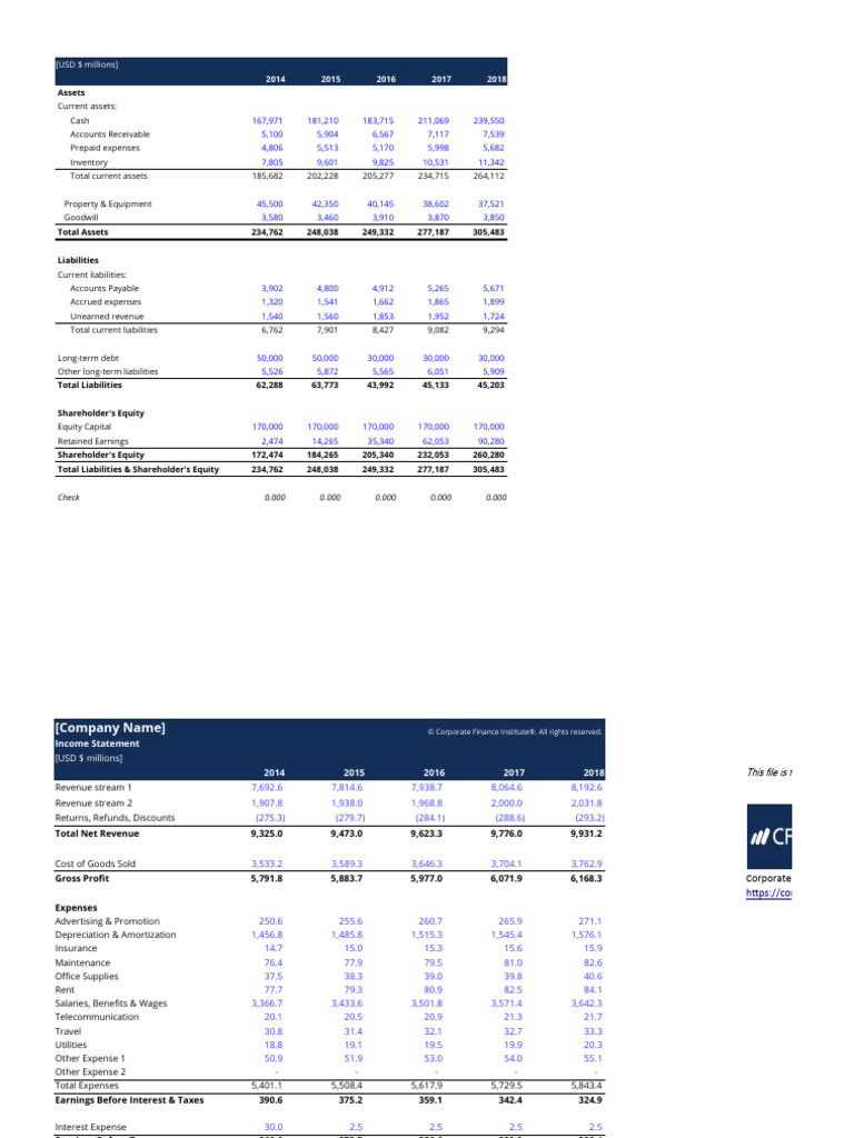 Balance Sheet Format | PDF | Equity (Finance) | Expense