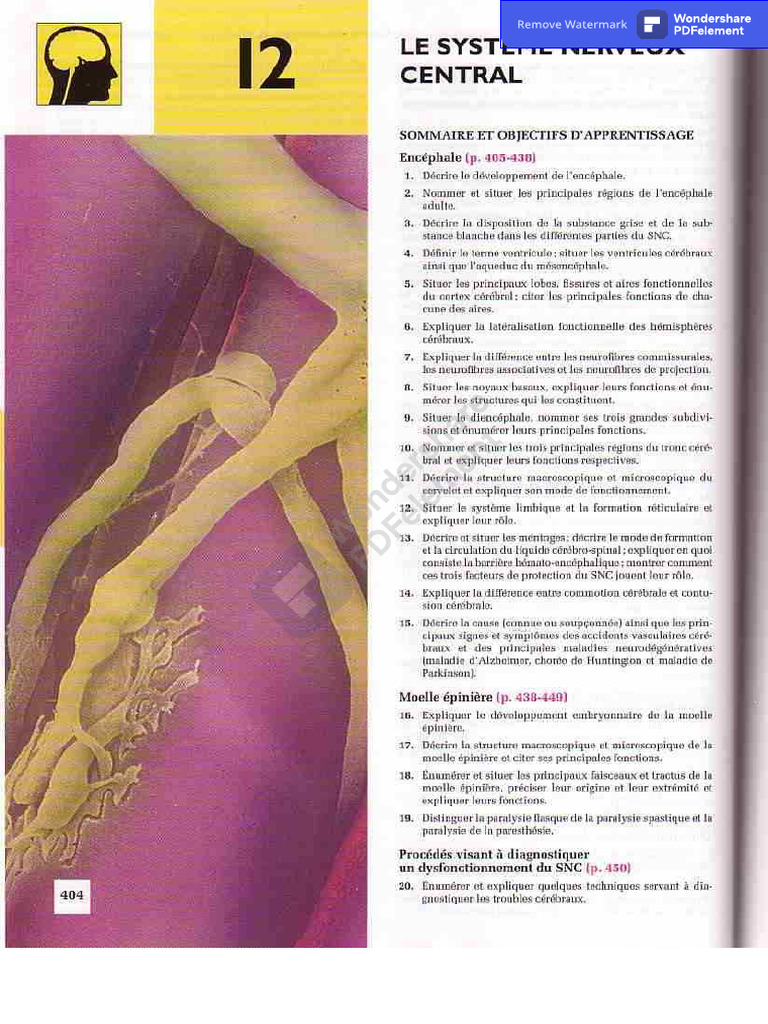 Anatomie Et Physiologie Humaines - Optimize - PDF - 1 | PDF