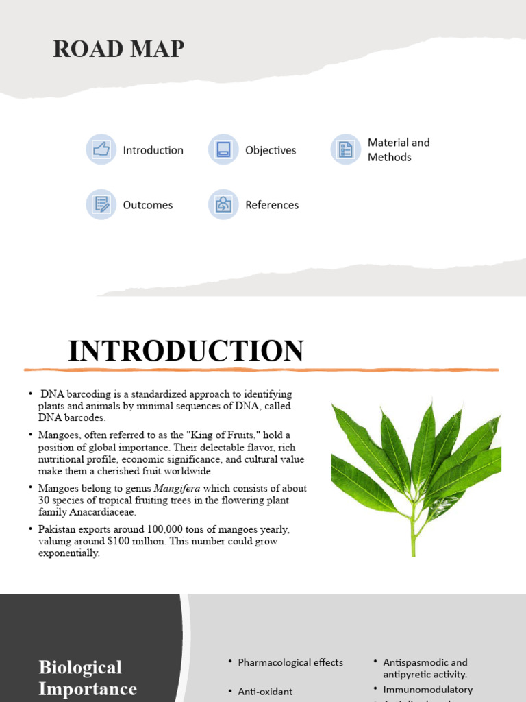 DNA Barcoding of Mango Species Using rbcL and matK | PDF | Polymerase ...