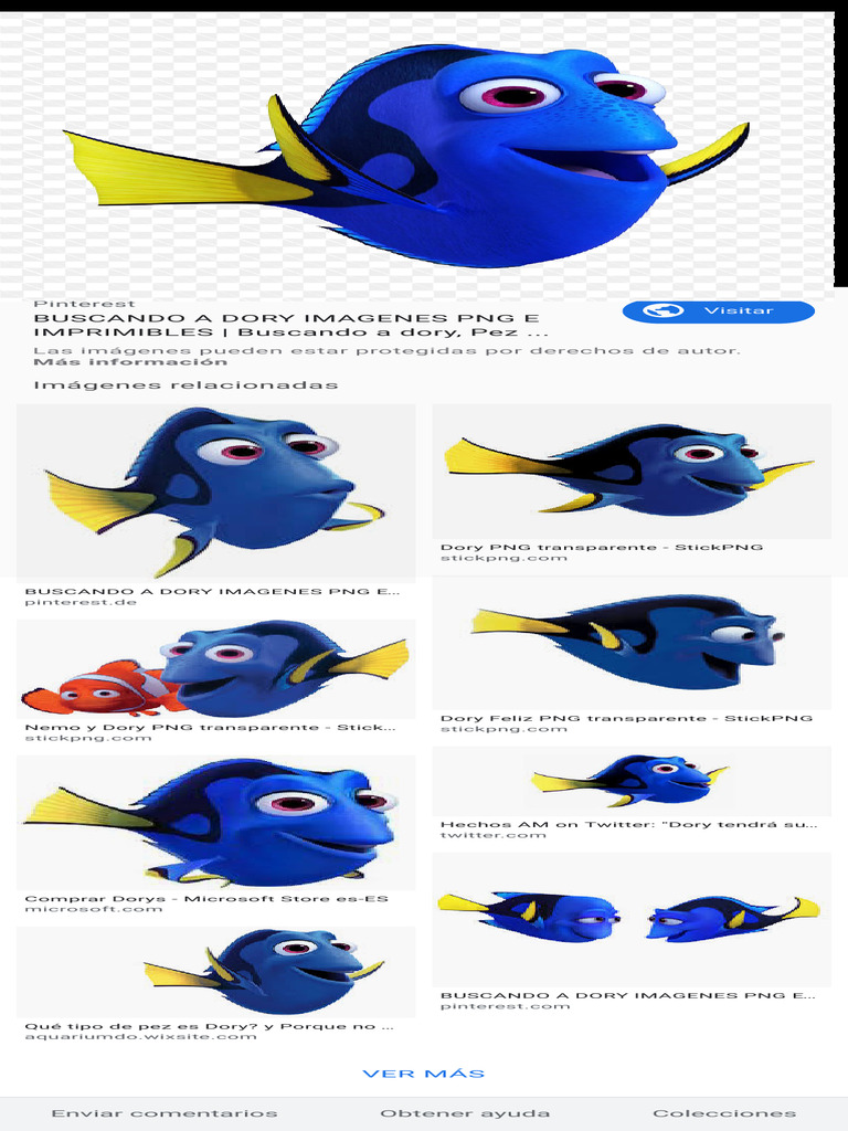 Dory - Búsqueda de Google | PDF