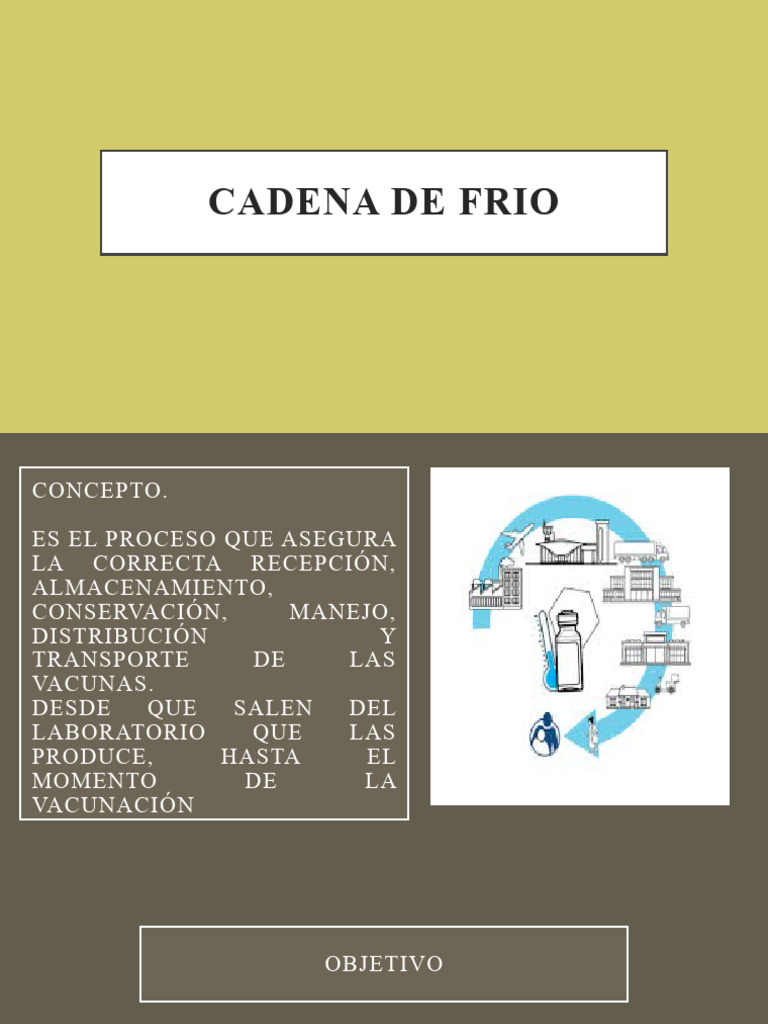 Cadena de Frio | PDF