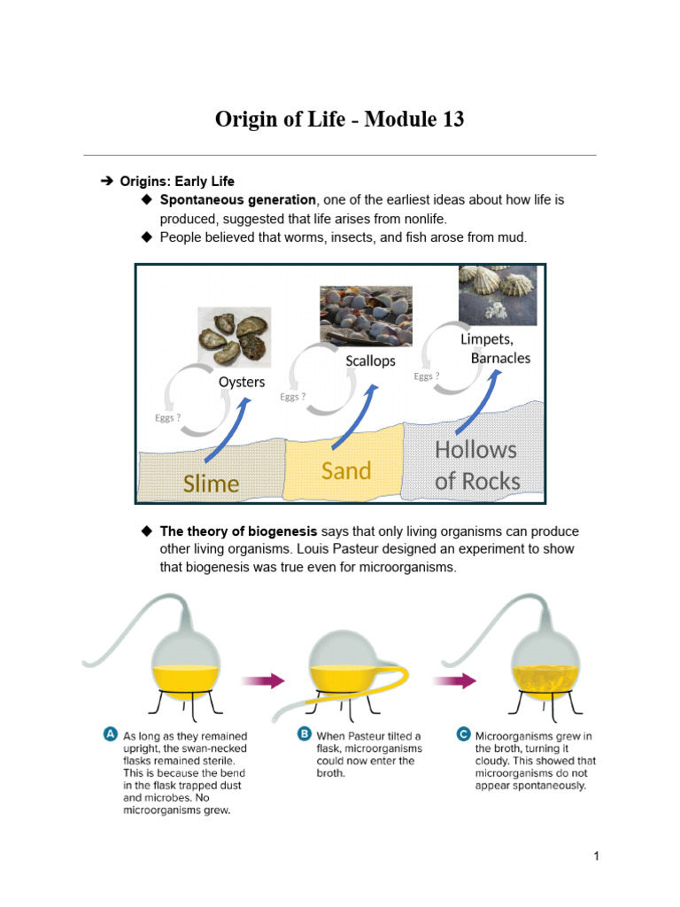 Unit 4 - Biology Notes | PDF | Life | Abiogenesis