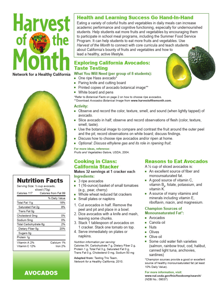 Exploring California Avocados Educators Newsletter | PDF | Fat | Avocado