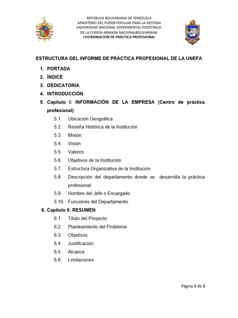 Estructura Del Informe de Practica Profe | PDF