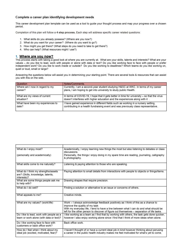 Career Development Plan Template | PDF | Experience | Communication