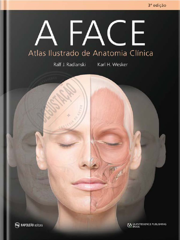 Anatomia das Regiões da Face | PDF | Olho humano | Rosto