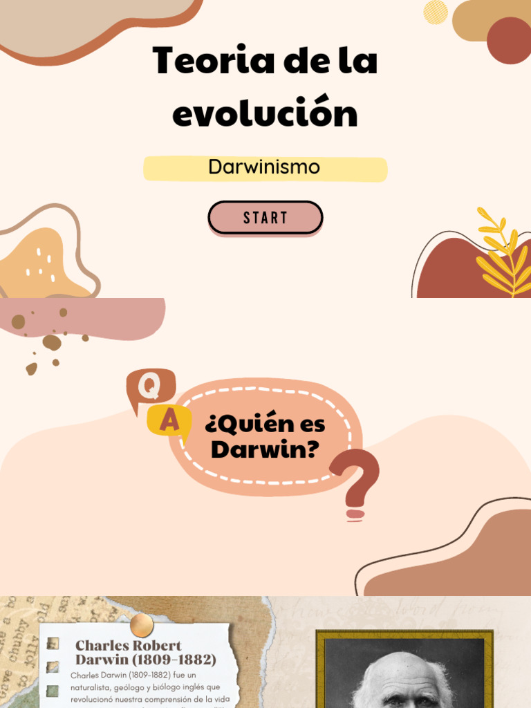 Brown Aesthetic Group Project Presentation | PDF