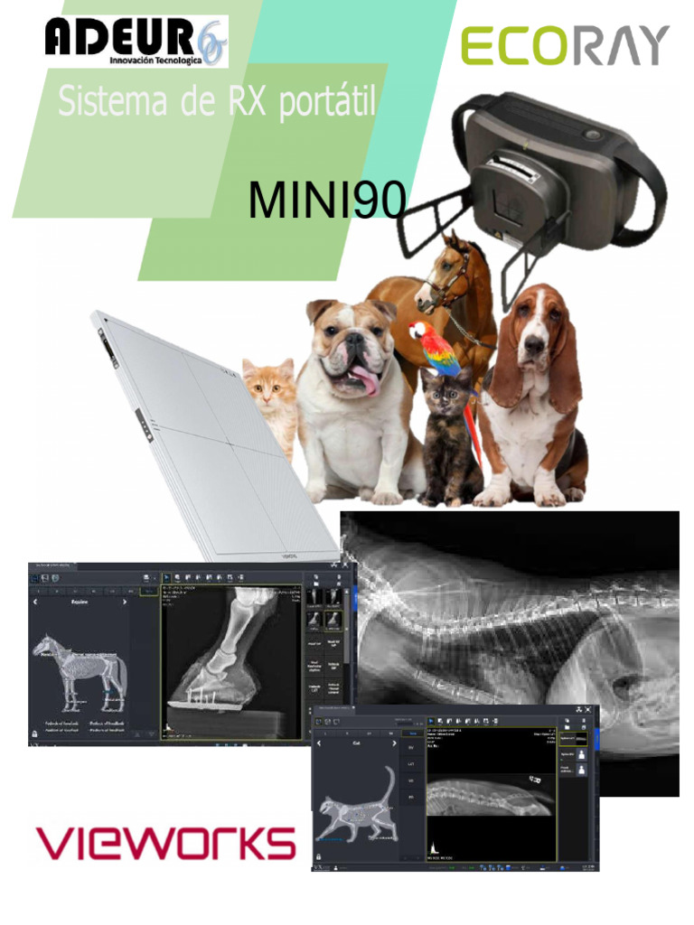 Ecoray Mini 90 RX Vet Vieworks 2023 | PDF | Electrónica | Ingeniería ...