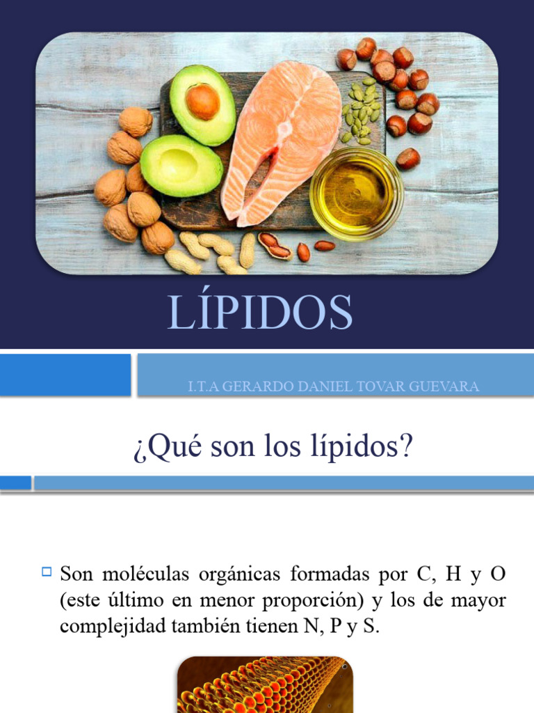 C10 Lipidos | PDF | Lípido | Ácido graso