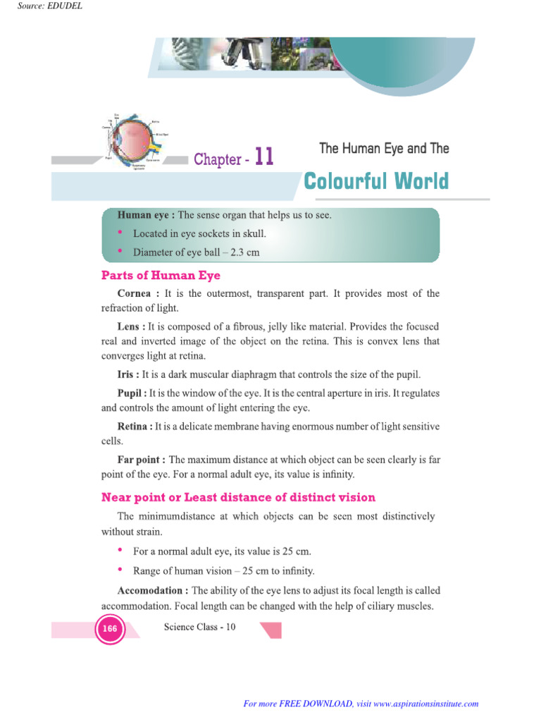 10 Sci The Human Eye And The Colourful World Notes Pdf Human Eye Eye