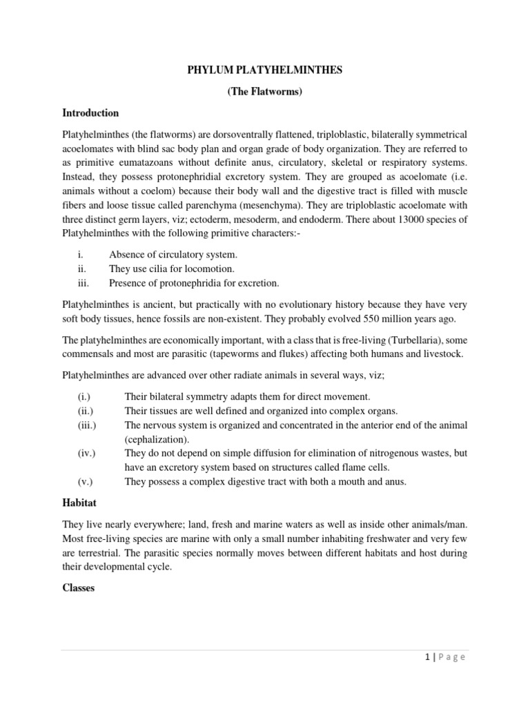 Phylum Platyhelminthes | PDF | Biology | Zoology