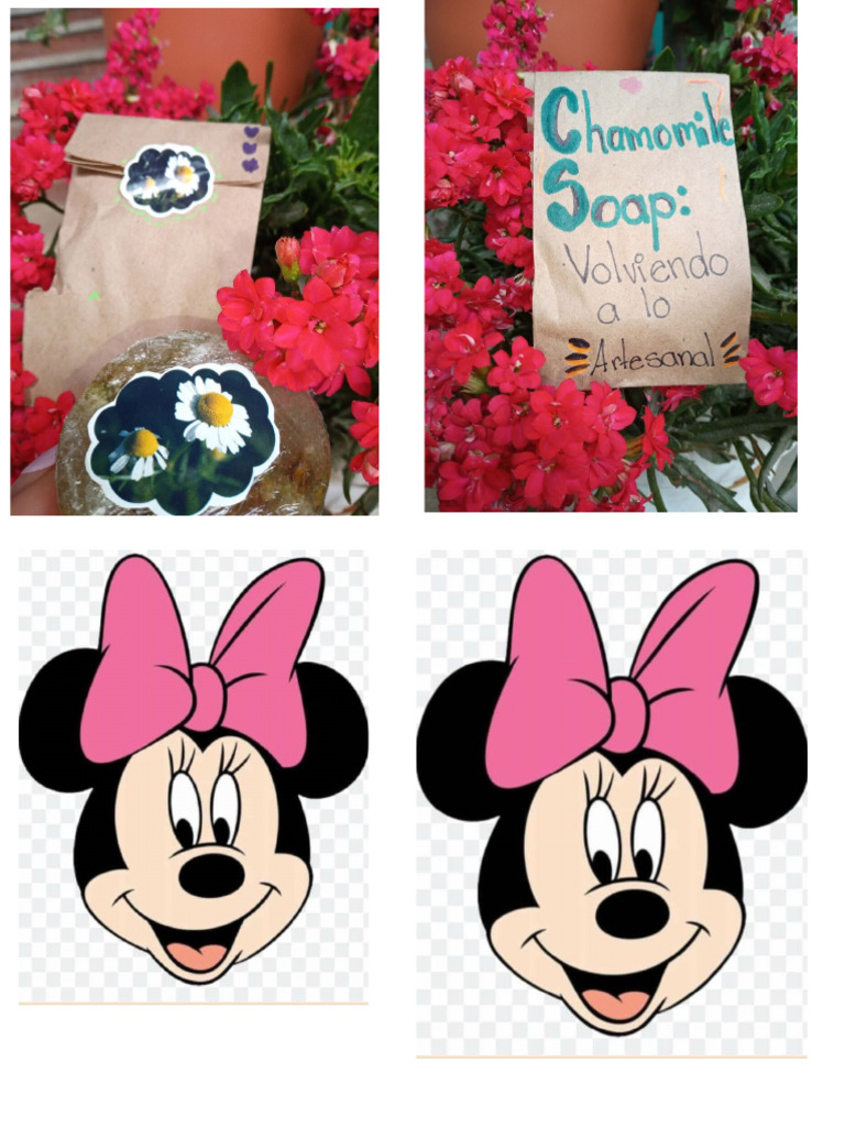 Minnie Mouse | PDF