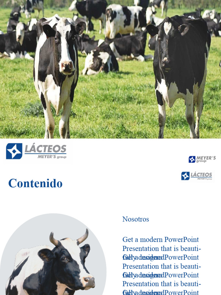 Cow Template | PDF | Microsoft Power Point | Infographics