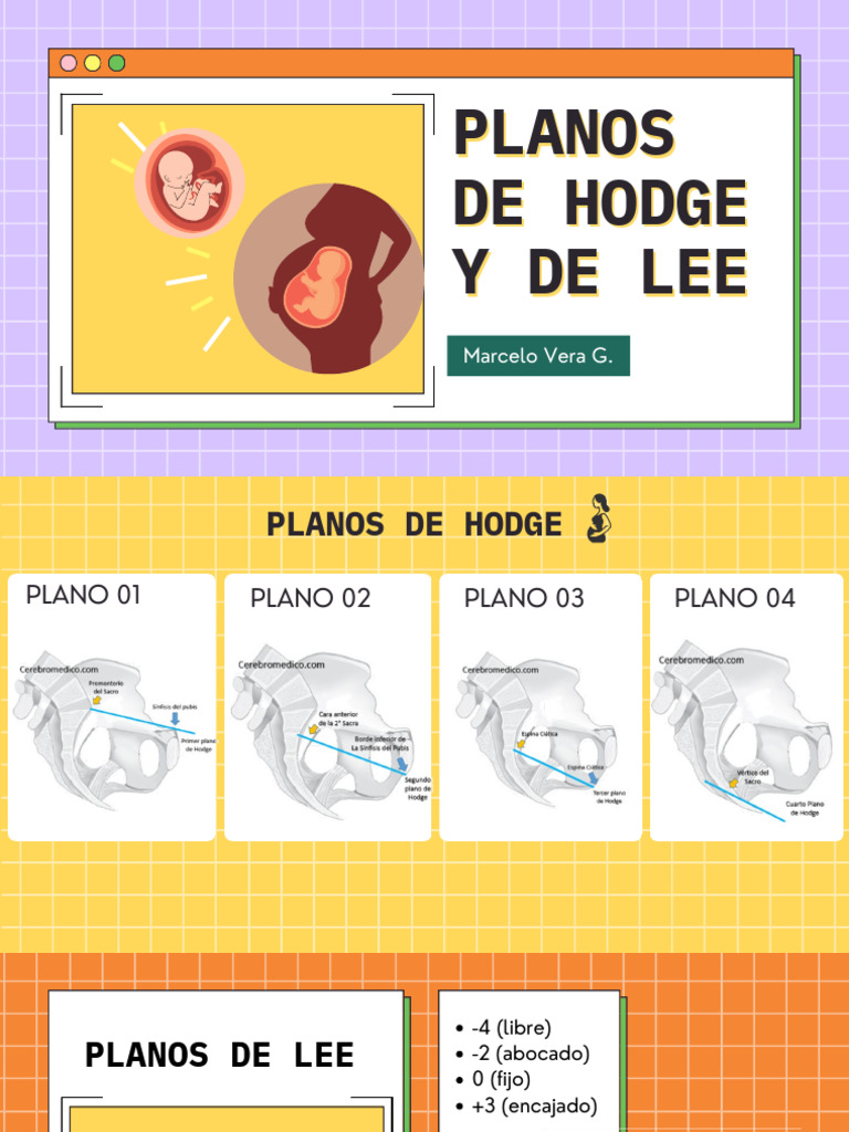 Planos de Hodge y Lee - Fisiología de Las Contracciones Uterinas, by ...