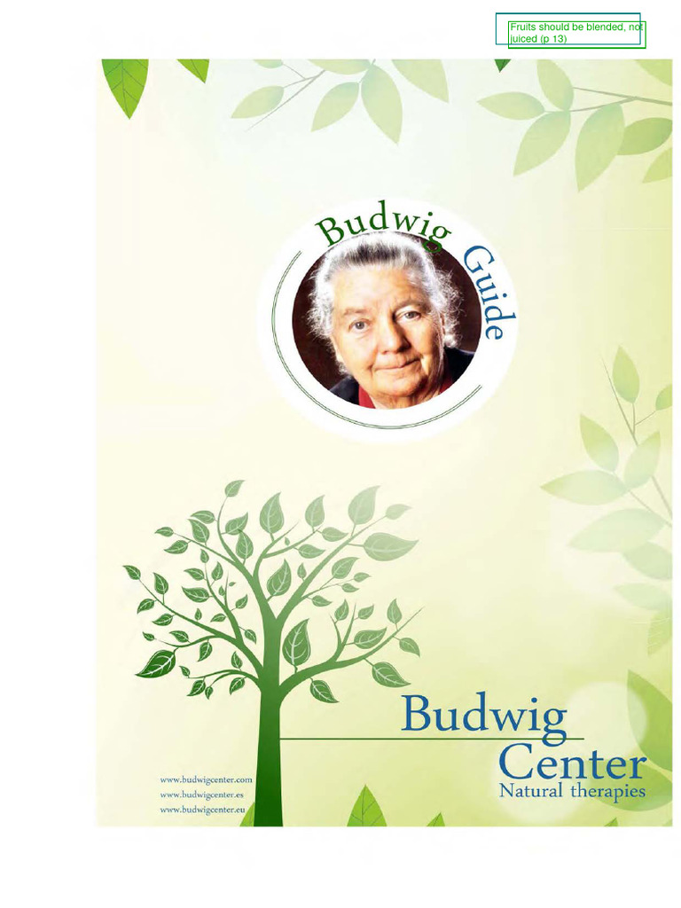 Budwig Therapy Overview and Guide | PDF | Foods | Fat