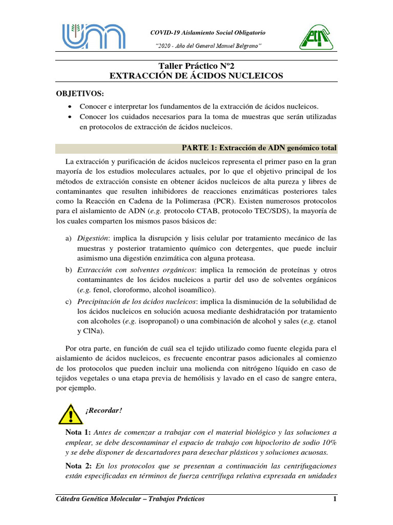 Extracción de Ácidos Nucleicos | PDF | Adn | Solución tampón
