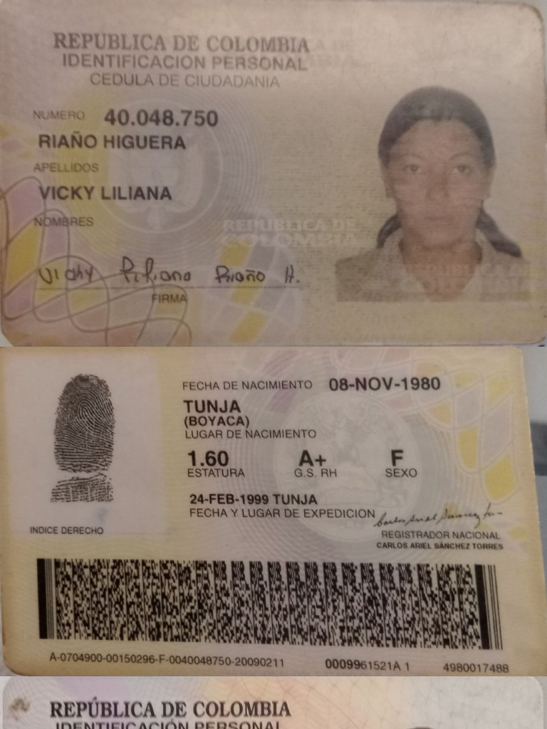 Cedulas Natis Michel Lili | PDF