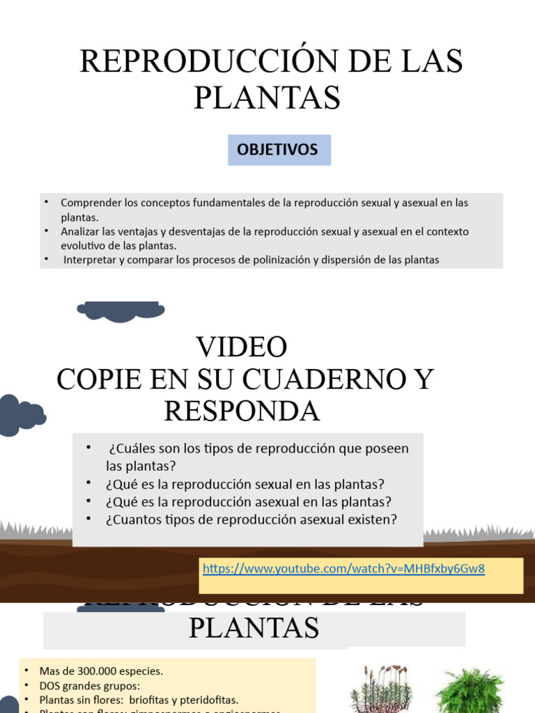 Reproducción de Las Plantas | Descargar gratis PDF | Plantas | Reproducción sexual