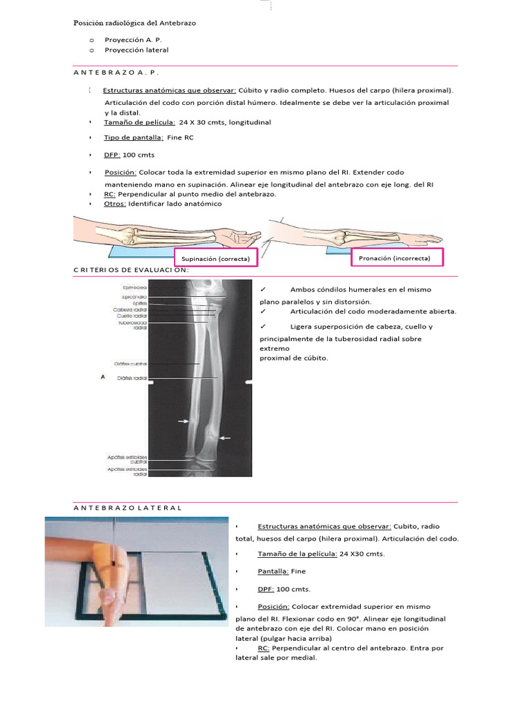 Proyecciones de Codo | PDF | Codo | Mano